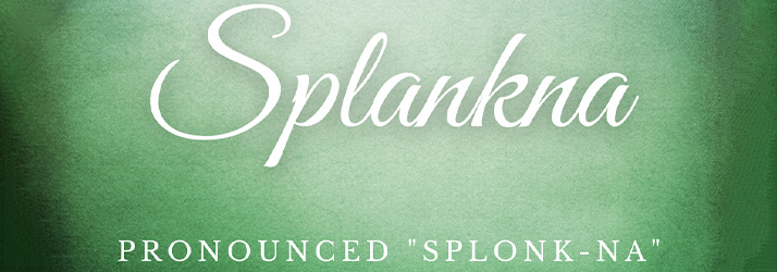 Splankna Affirmative Therapy - Bountiful Life